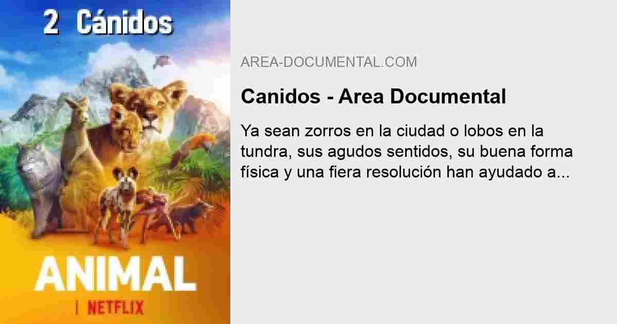 Canidos - Ver online