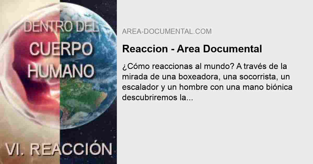 Reaccion - Ver online